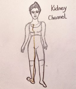 Kidney Meridian – AllYinYoga